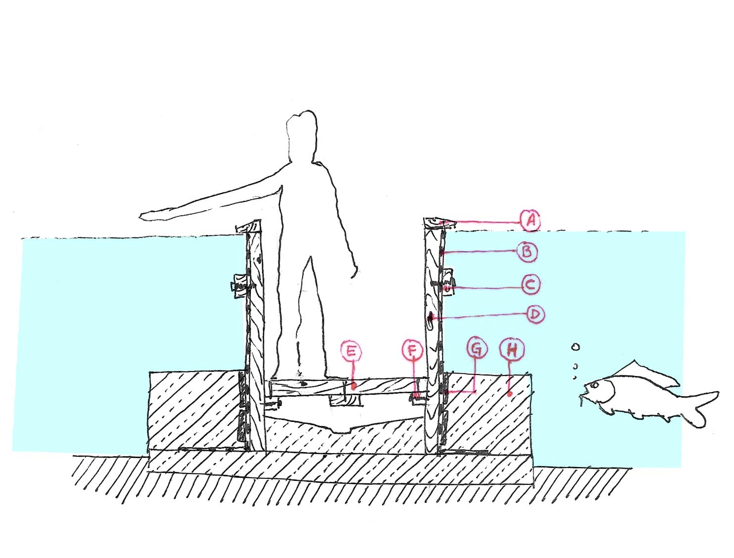 El puente de Moisés - Quincunx